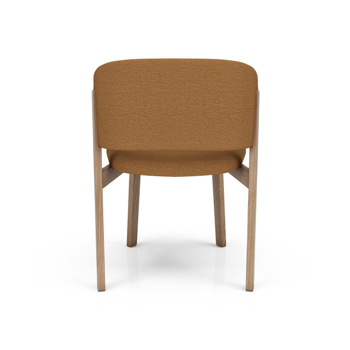 Wolfgang Dining Arm Chair — FULLHOUSE Modern